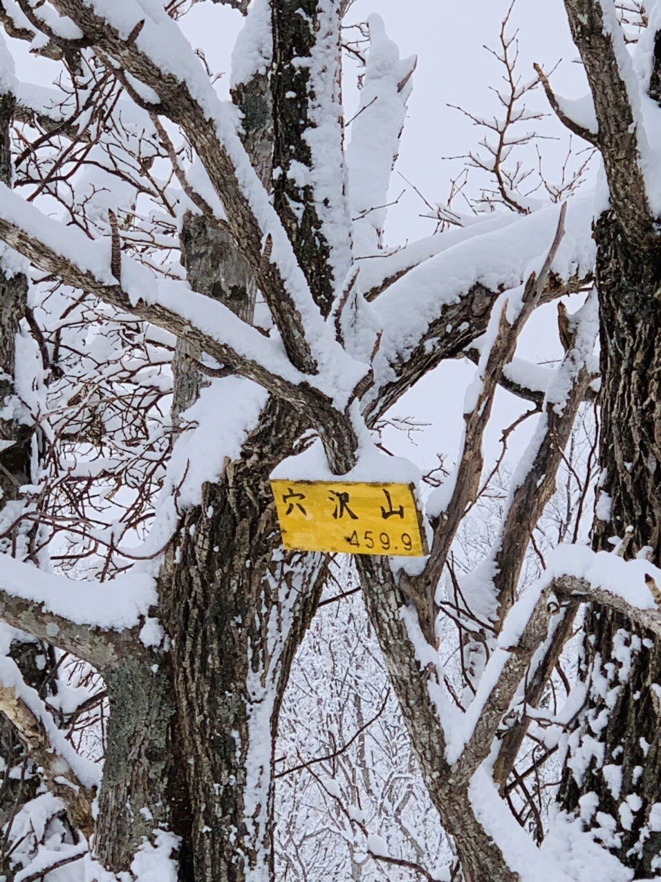 穴沢山 / kumiさんの豊平山（焼山）の活動データ | YAMAP / ヤマップ