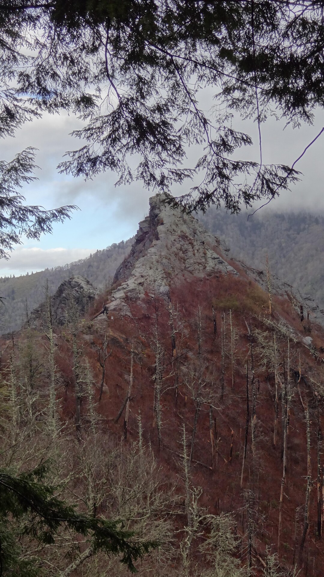 Chimney Tops Trail 12/9/2023 / ha_linaさんのグレート・スモーキー山脈国立公園の活動データ | YAMAP / ヤマップ