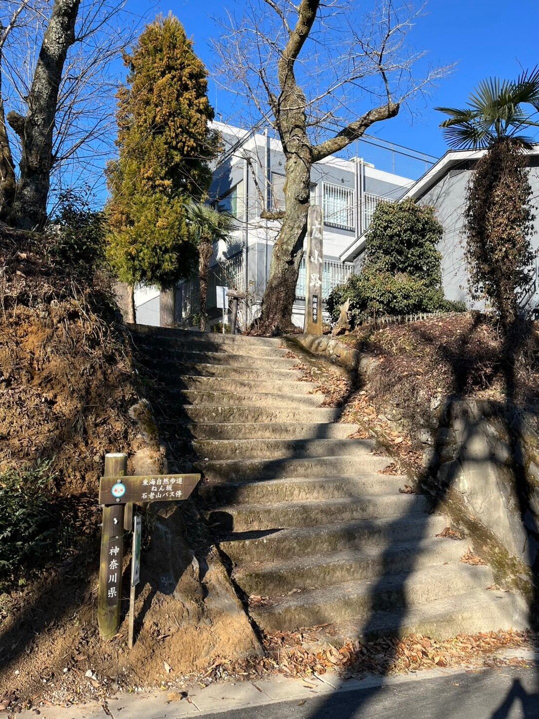 今年は去年より登るぞー♪ 下山めしを正... / sarahさんのモーメント | YAMAP / ヤマップ