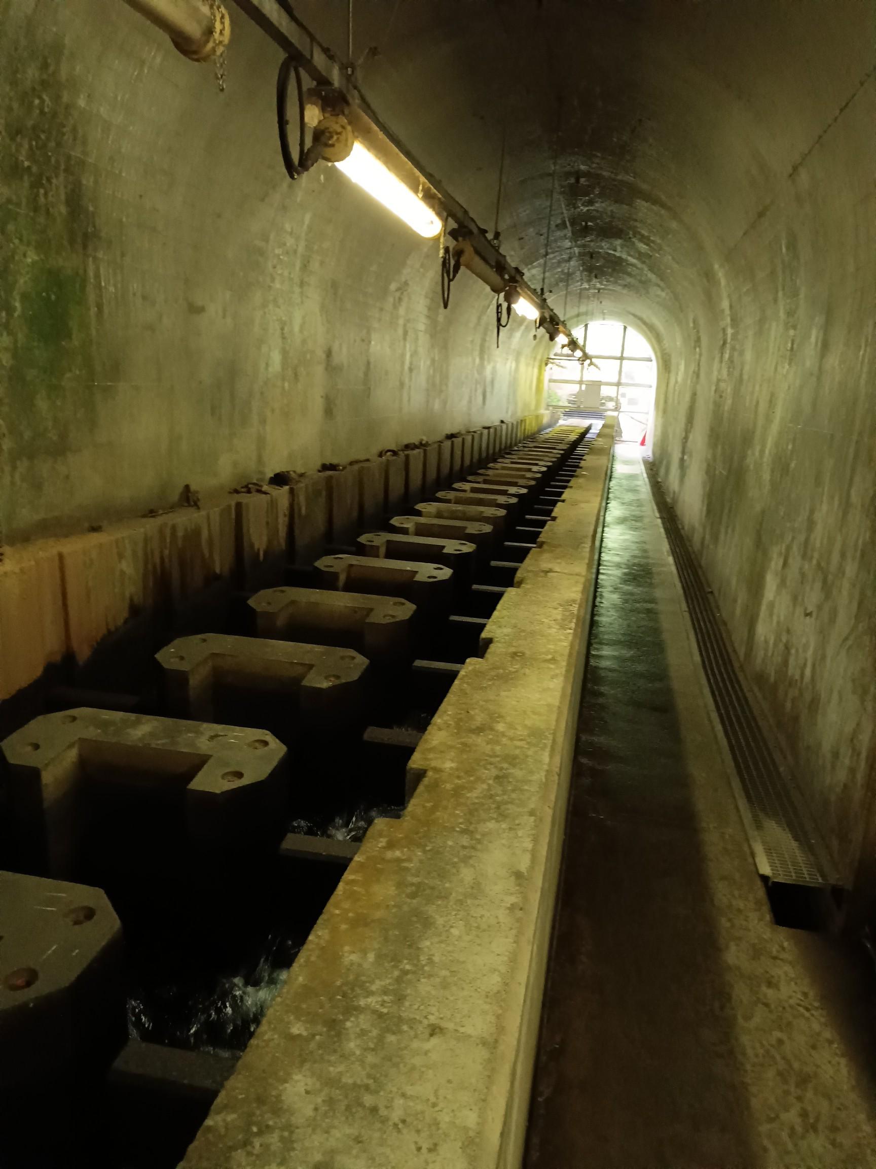 今日は白丸ダムの魚道を見に行きました。た... / ポチりんさんのモーメント | YAMAP / ヤマップ