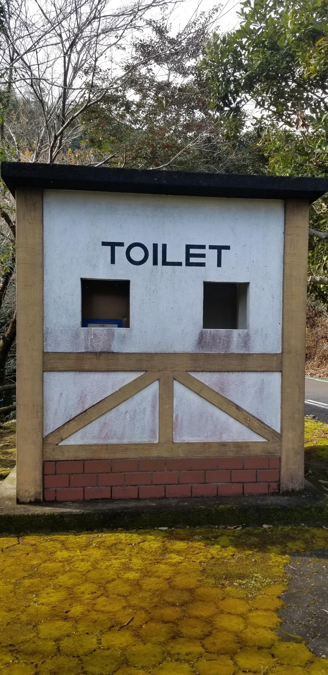 fuku🐤fukuさんの投稿したフィールドメモ | YAMAP / ヤマップ