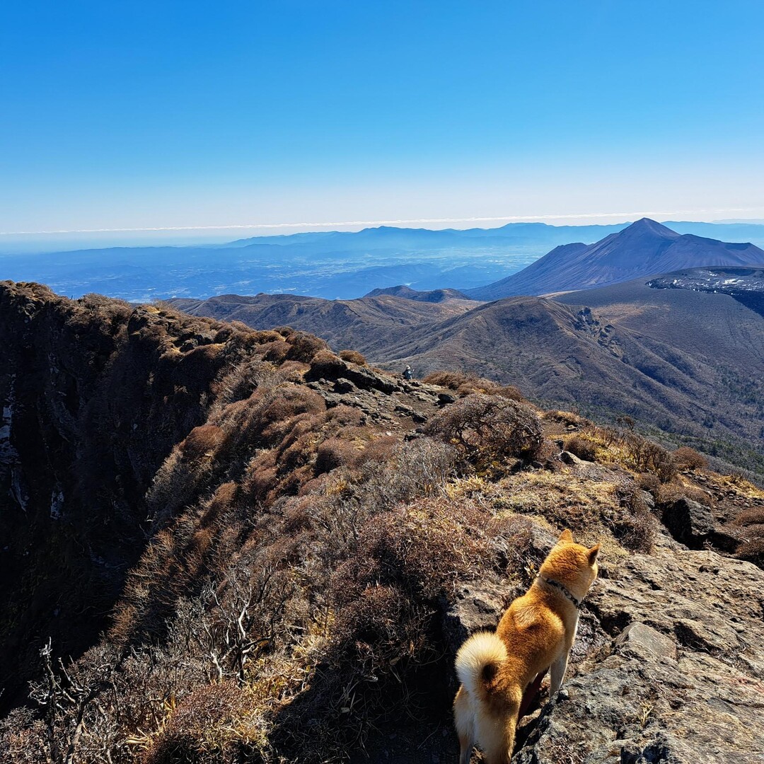 今日は韓国岳でのんびりしました。 真っブ... / 花さんのモーメント | YAMAP / ヤマップ