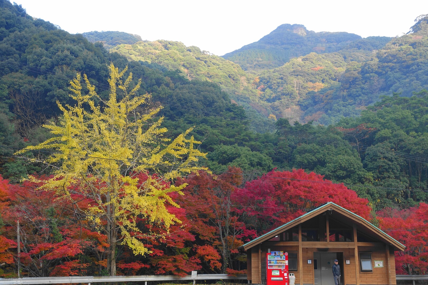 50回目 黒髪山 / sum サムさんの黒髪山・青螺山の活動データ | YAMAP / ヤマップ
