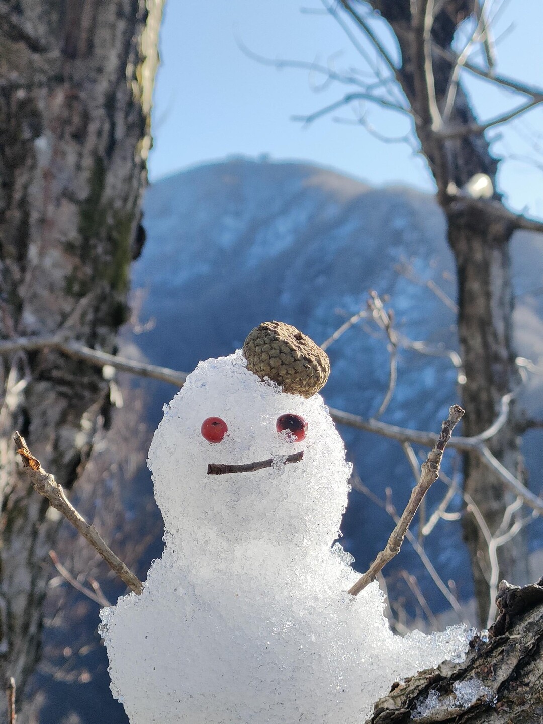 米山 / AZU_YUMIさんの米山の活動データ | YAMAP / ヤマップ