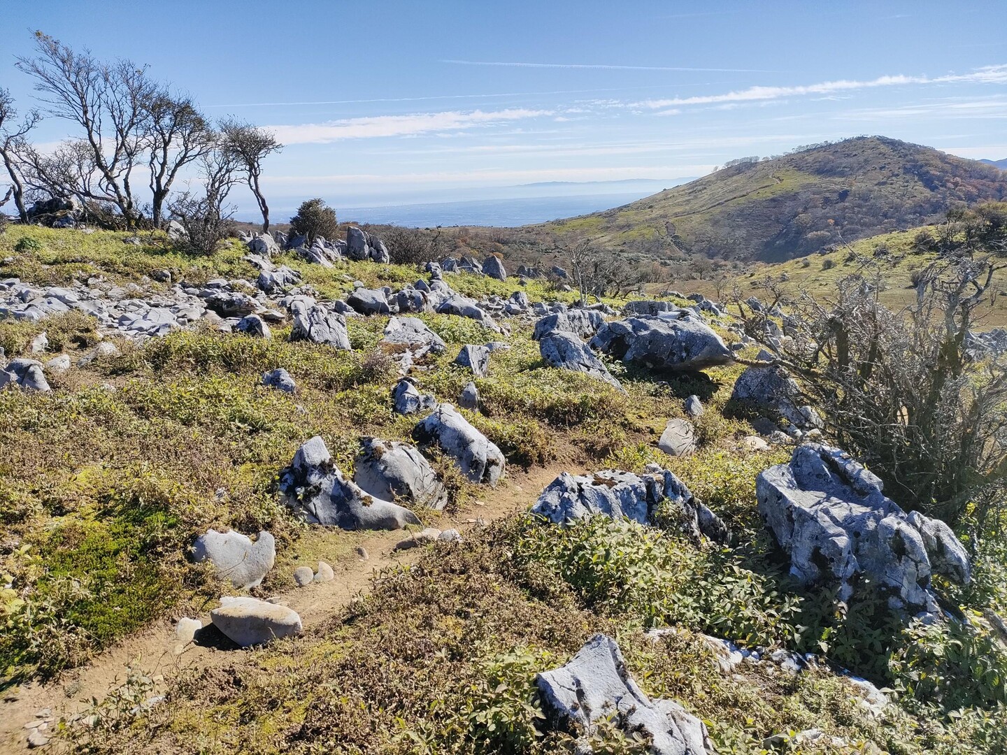 子向井山・頭陀ヶ平・天狗岩 / ishi_chocoさんの藤原岳・御池岳の活動日記 | YAMAP / ヤマップ