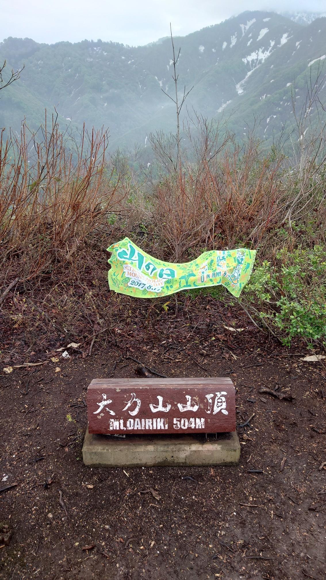 2025 大力山ピストン / MKワールドさんの大力山・黒禿の頭・笠倉山の活動データ | YAMAP / ヤマップ