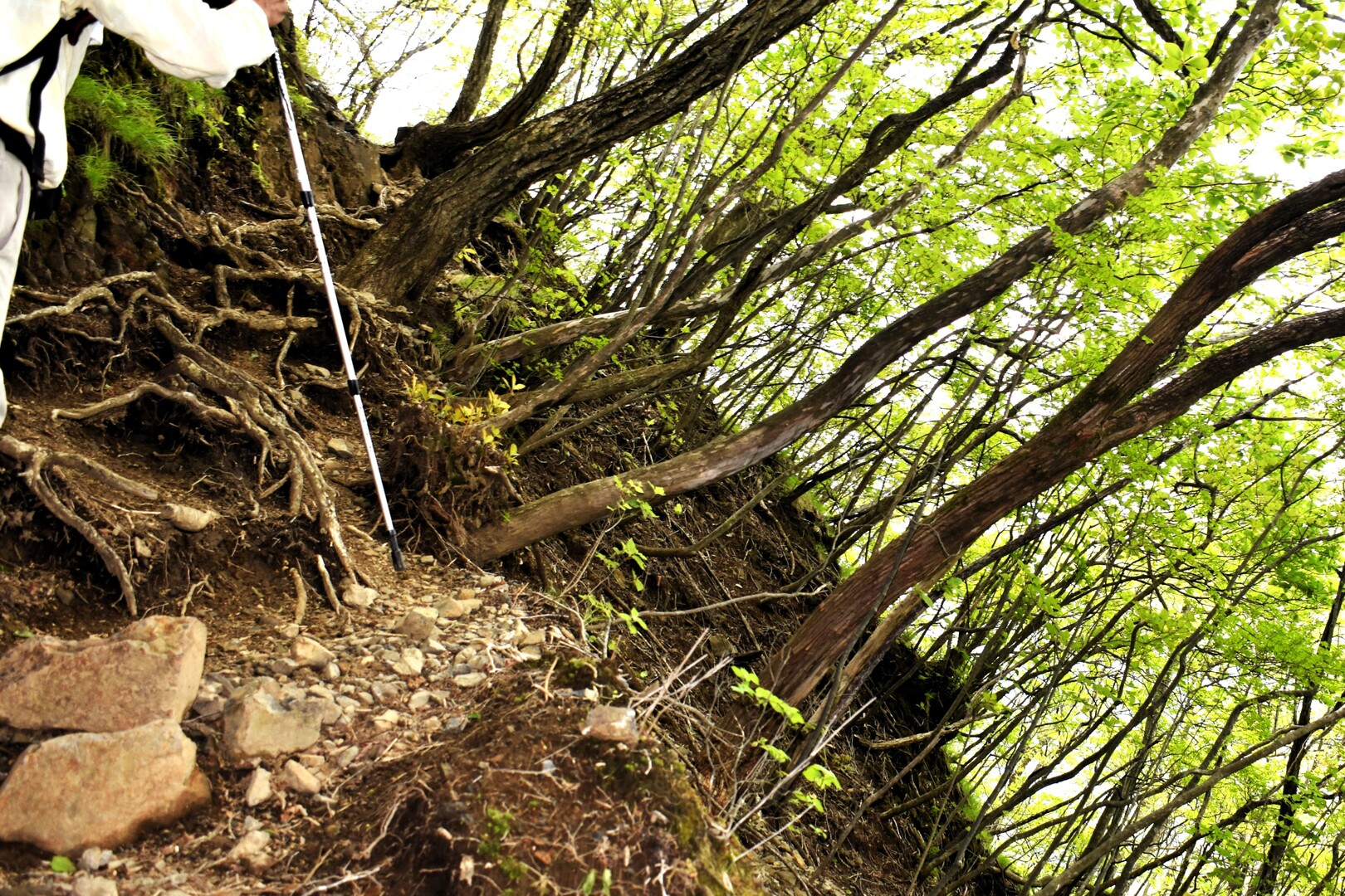 ピエール・HOSHIさんの投稿したフィールドメモ | YAMAP / ヤマップ