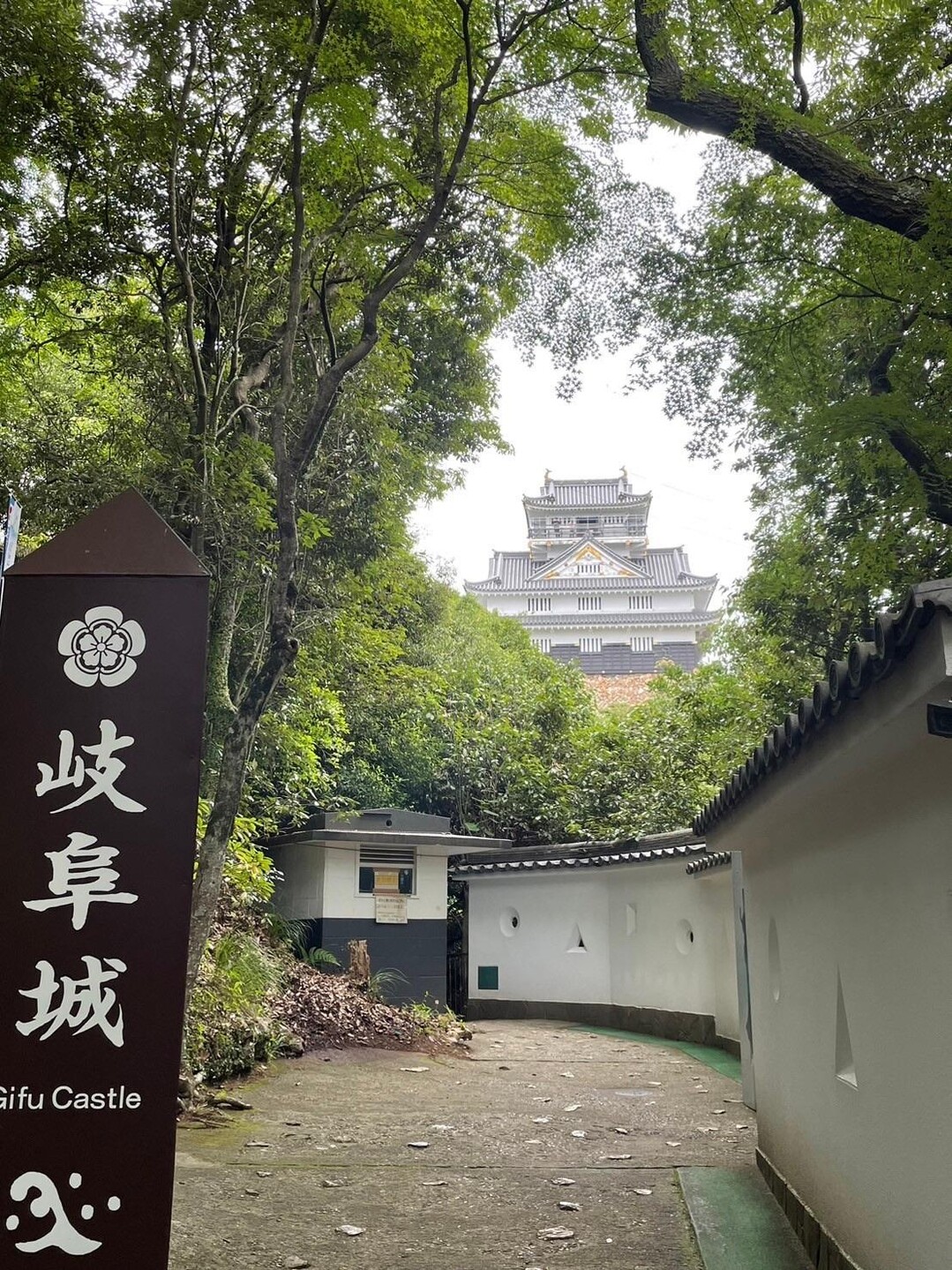 帰省ついでに金華山 / ma-47さんの金華山・洞山・舟伏山の活動データ | YAMAP / ヤマップ