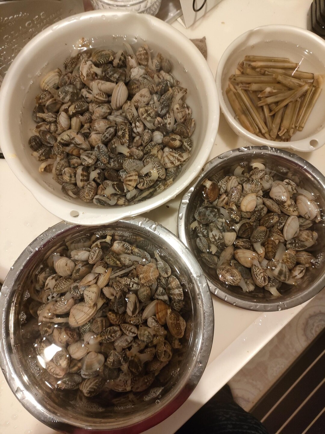 的形へ潮干狩りに 雨でズブズブに濡れて寒... / ぢゃぺさんのモーメント | YAMAP / ヤマップ