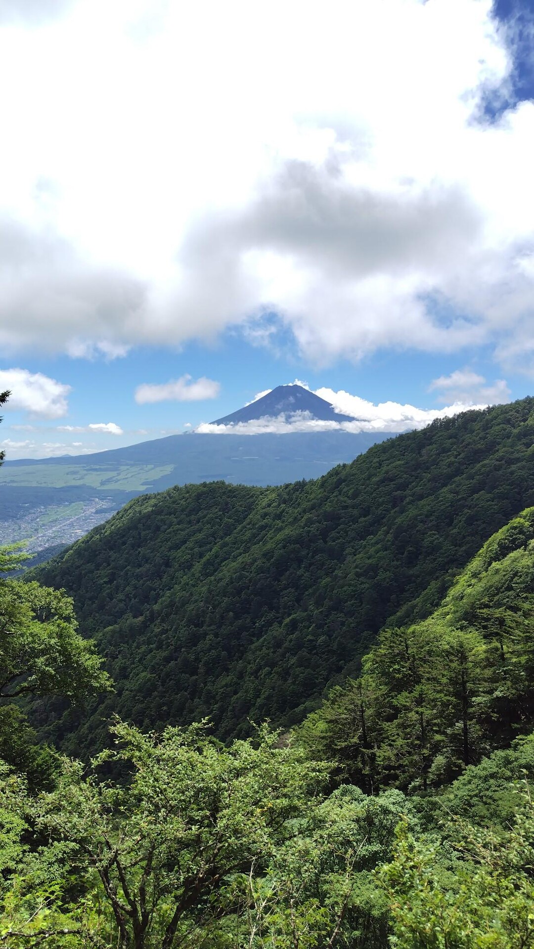 三ッ峠山（開運山） / jun_6352さんの三ッ峠山・本社ヶ丸・鶴ヶ鳥屋山の活動データ | YAMAP / ヤマップ