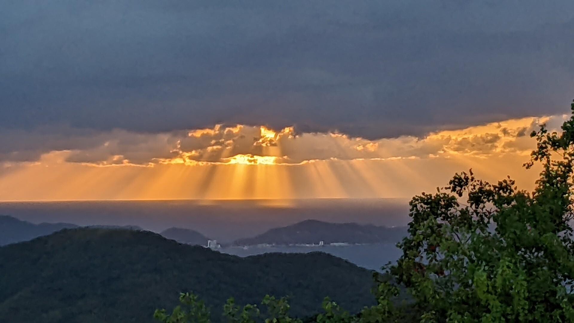 黄金色のエンジェルラダー と猫ベッド😺... / by hideさんのモーメント | YAMAP / ヤマップ