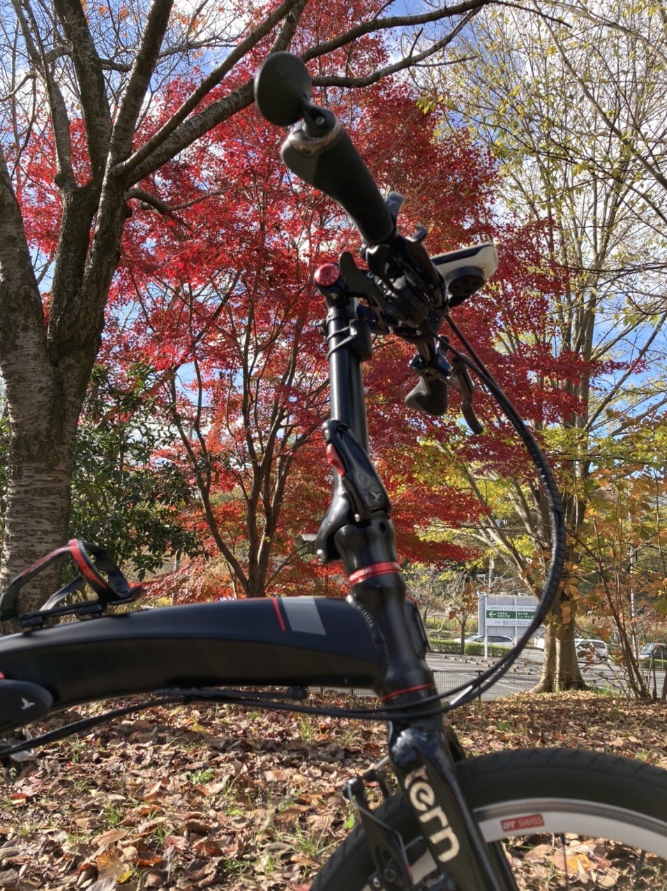 多摩の紅葉は綺麗なんですよ🍁 久しぶり... / FIT RSさんのモーメント | YAMAP / ヤマップ