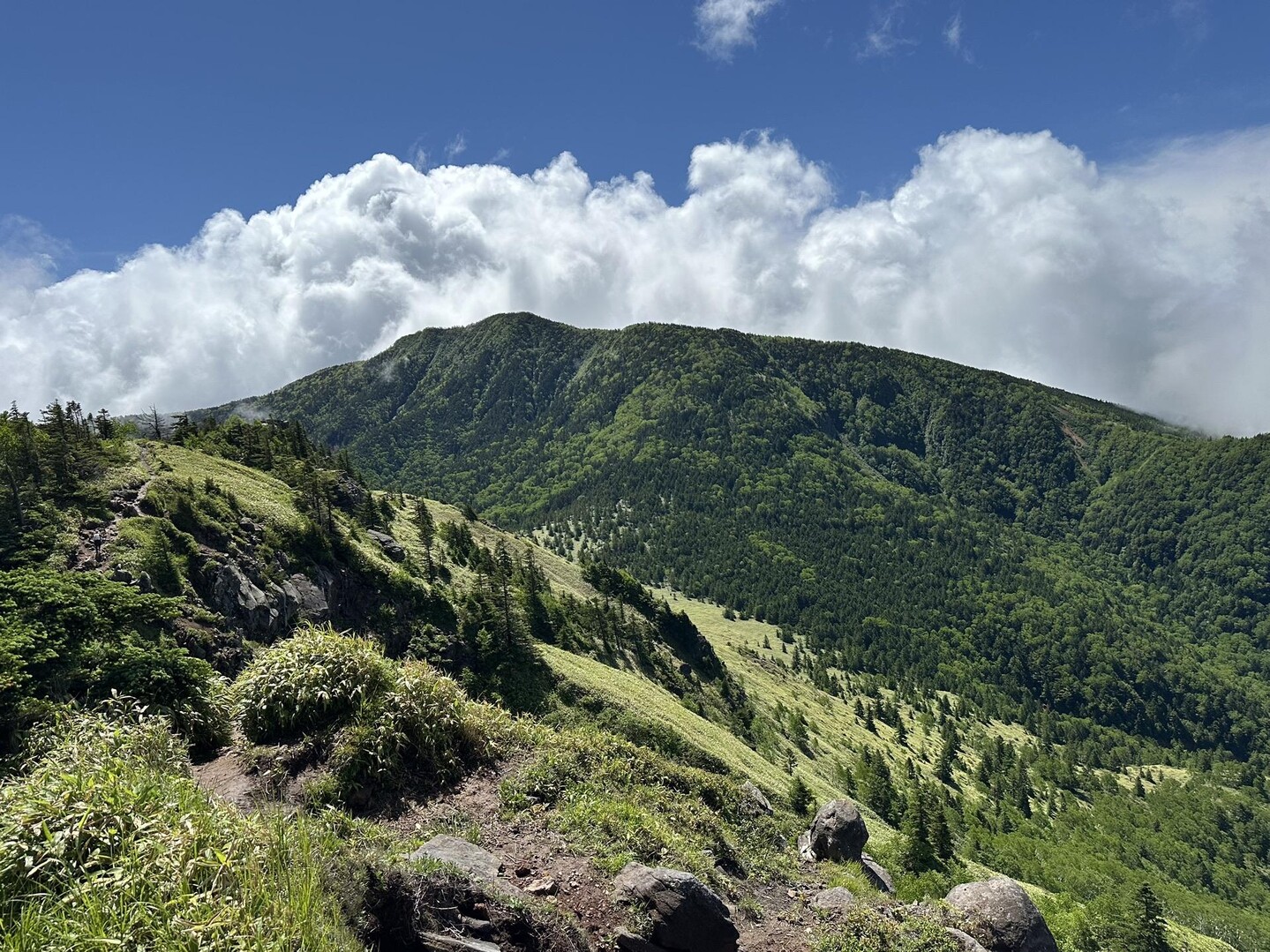 菅平牧場から 根子岳〜四阿山 "オコジョ"も歓迎 / sho_hei5000さんの四阿山・根子岳の活動日記 | YAMAP / ヤマップ