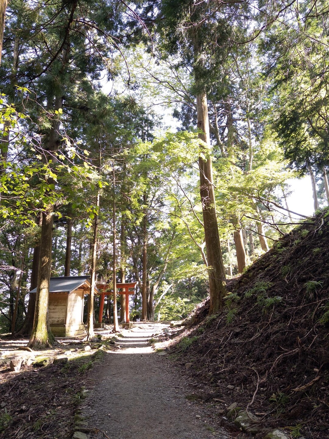 丹沢・大山 ~AFURI聖地巡礼🍜~ / marinaさんの大山の活動データ | YAMAP / ヤマップ