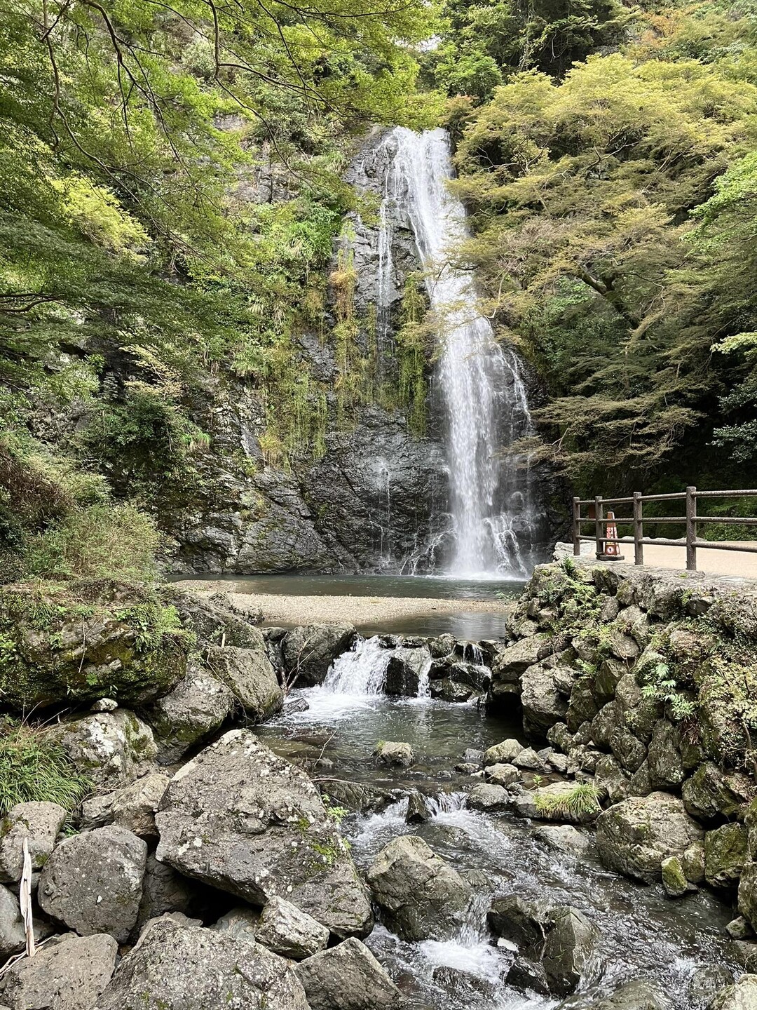 六個山・鉢伏山・明ヶ田尾山・五月山-2024-10-29 / DOMさんの六個山・鉢伏山・明ヶ田尾山・五月山の活動データ | YAMAP / ヤマップ