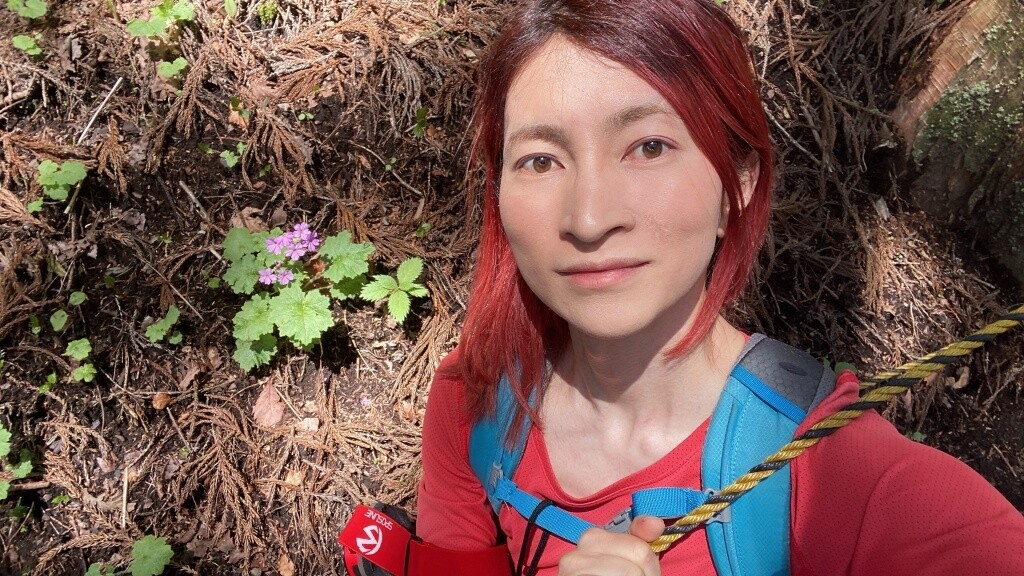 鳴神山のカッコソウ、世界に一つだけの花が咲く場所 / Genkidさんの鳴神山・吾妻山の活動データ | YAMAP / ヤマップ