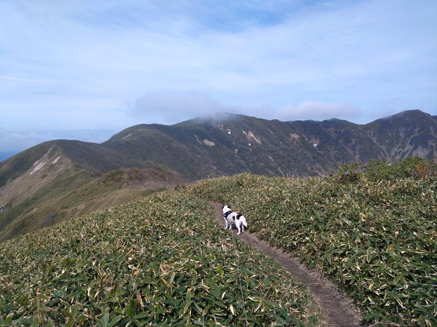 裏那須三山 流石山・大倉山・三倉山 / kuru−ruさんの茶臼岳（那須岳）・三本槍岳・赤面山の活動データ | YAMAP / ヤマップ