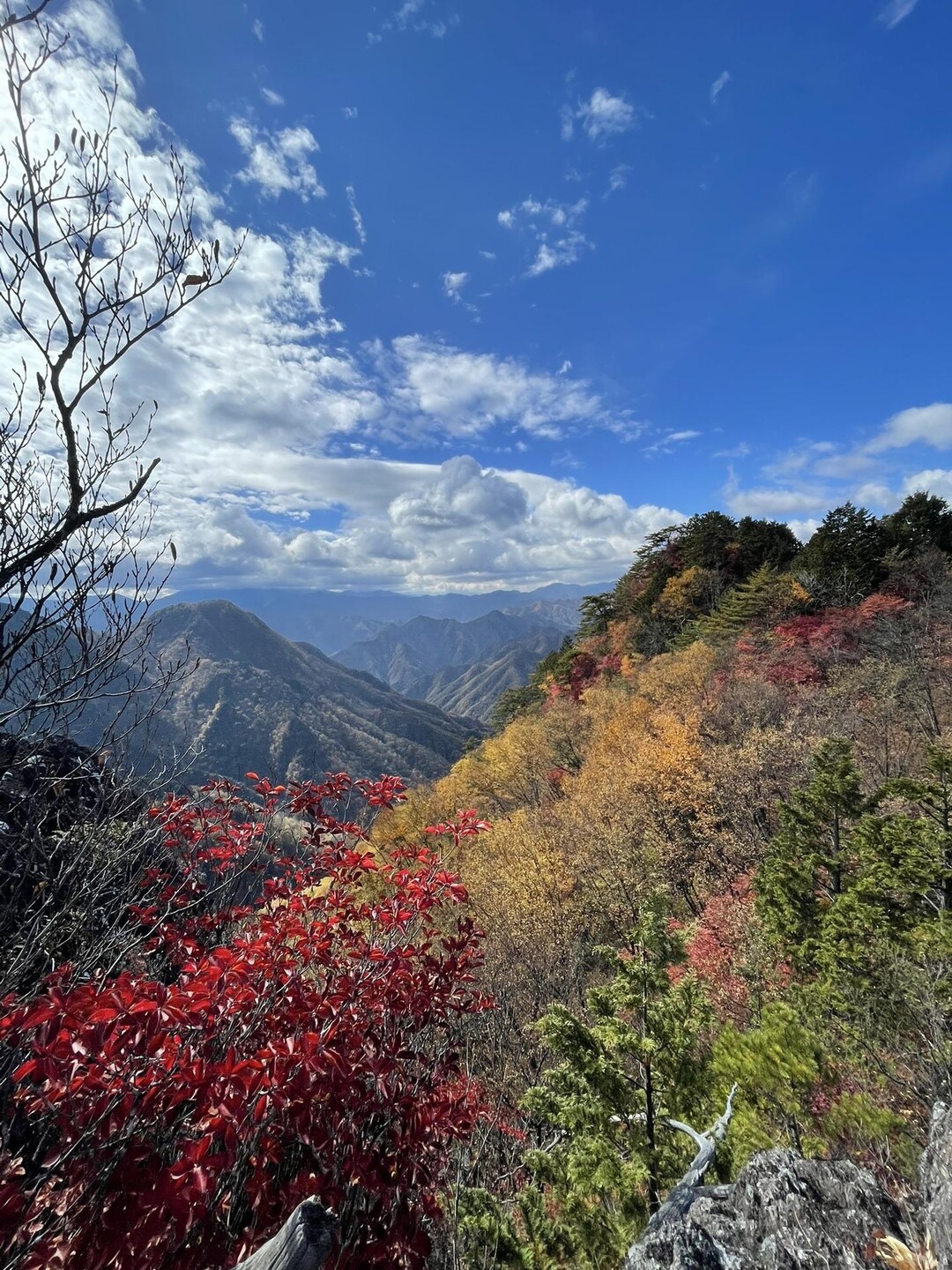 ここは鎖場Paradise♪ 両神山 / Z☆Rookieさんの両神山・諏訪山・二子山の活動データ | YAMAP / ヤマップ