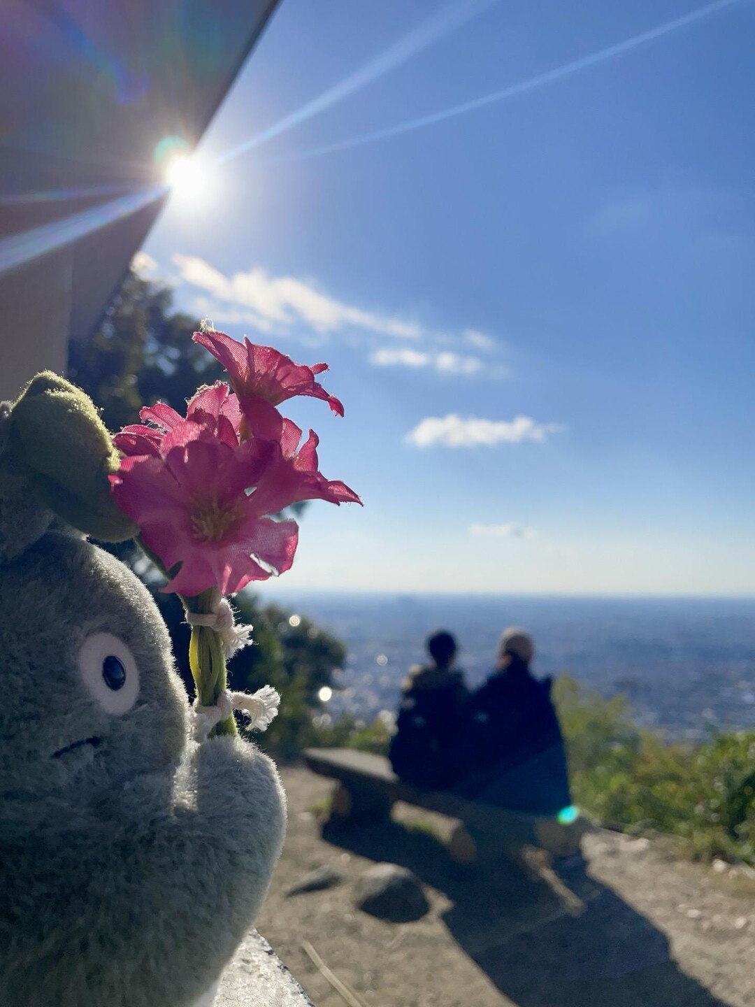 楽し過ぎたお山歩 / fu_koさんの生駒山・神津嶽・大原山の活動データ | YAMAP / ヤマップ