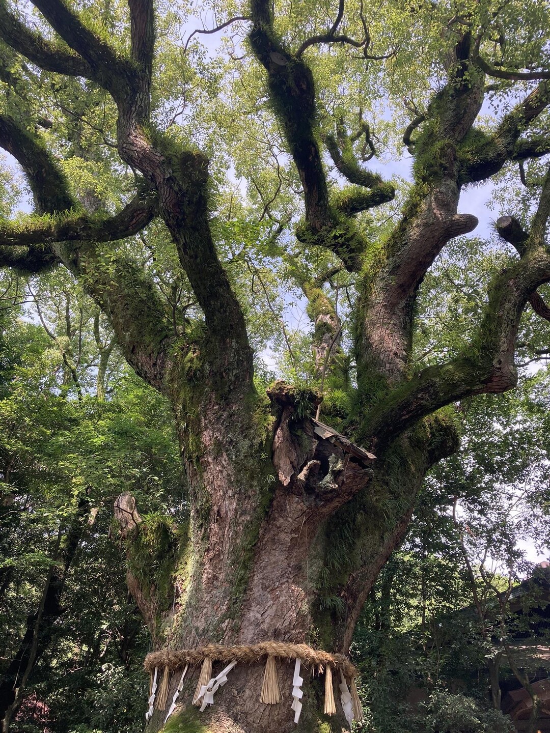 3連休はお山には行かず、名古屋方面へ。 ... / Aokatiさんのモーメント | YAMAP / ヤマップ