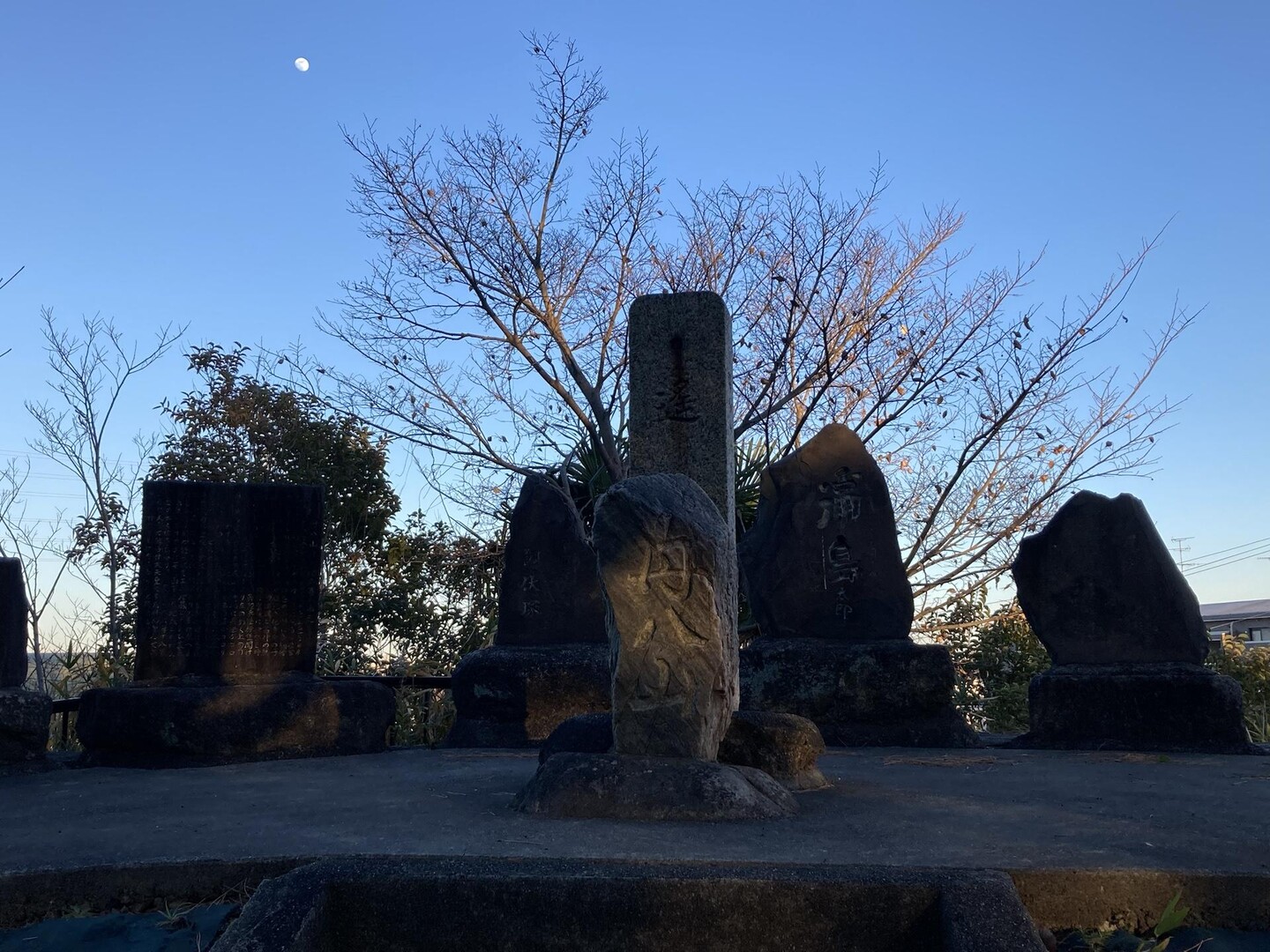 丹八山（名古屋市南区） / NORYさんの名古屋市の活動データ | YAMAP / ヤマップ