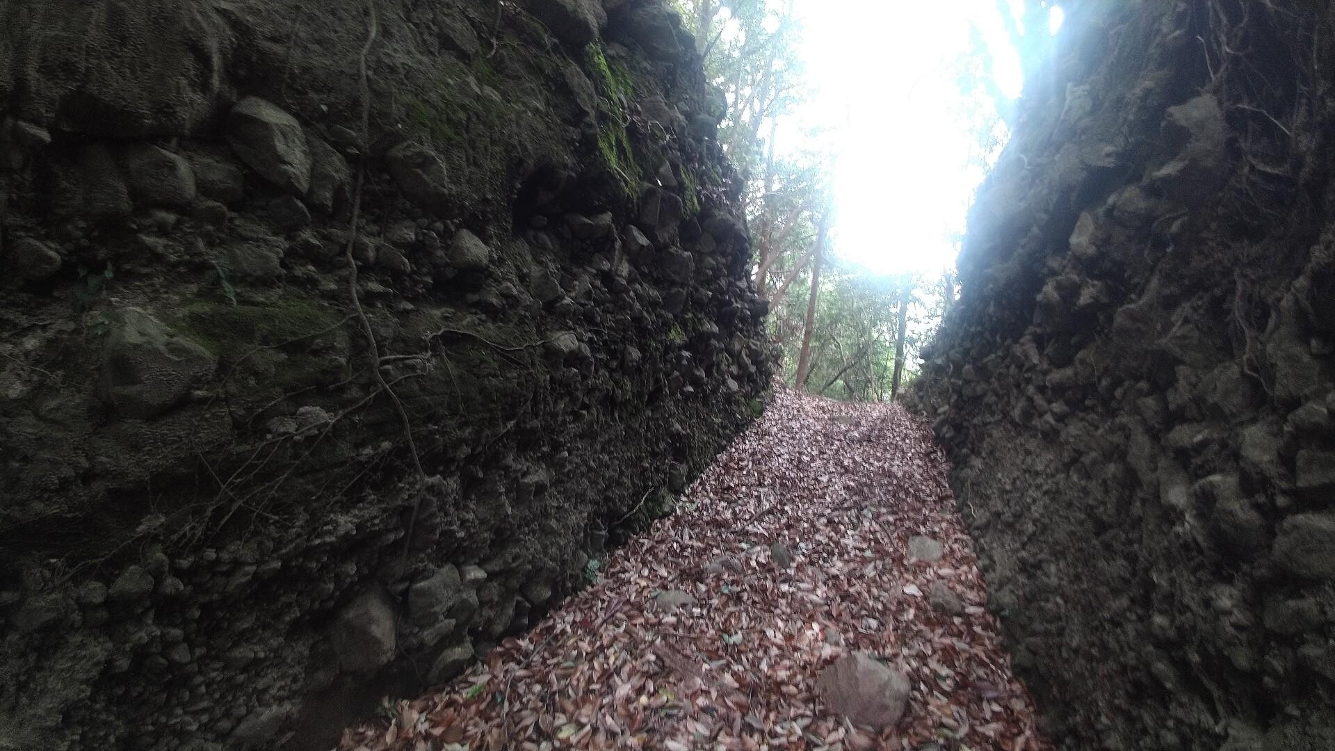 キリズシの案内 / obrさんの鹿嵐山の活動データ | YAMAP / ヤマップ