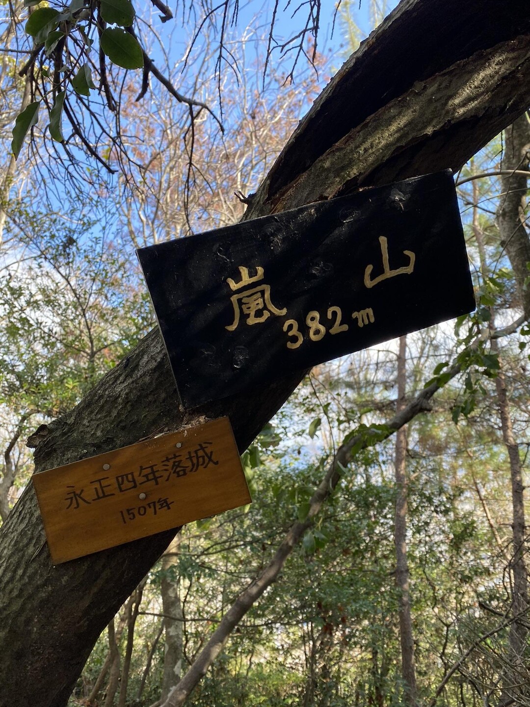 松尾山・嵐山の京都トレイル、初詣 / motusan さんの沓掛山・みすぎ山・唐櫃越の活動データ | YAMAP / ヤマップ