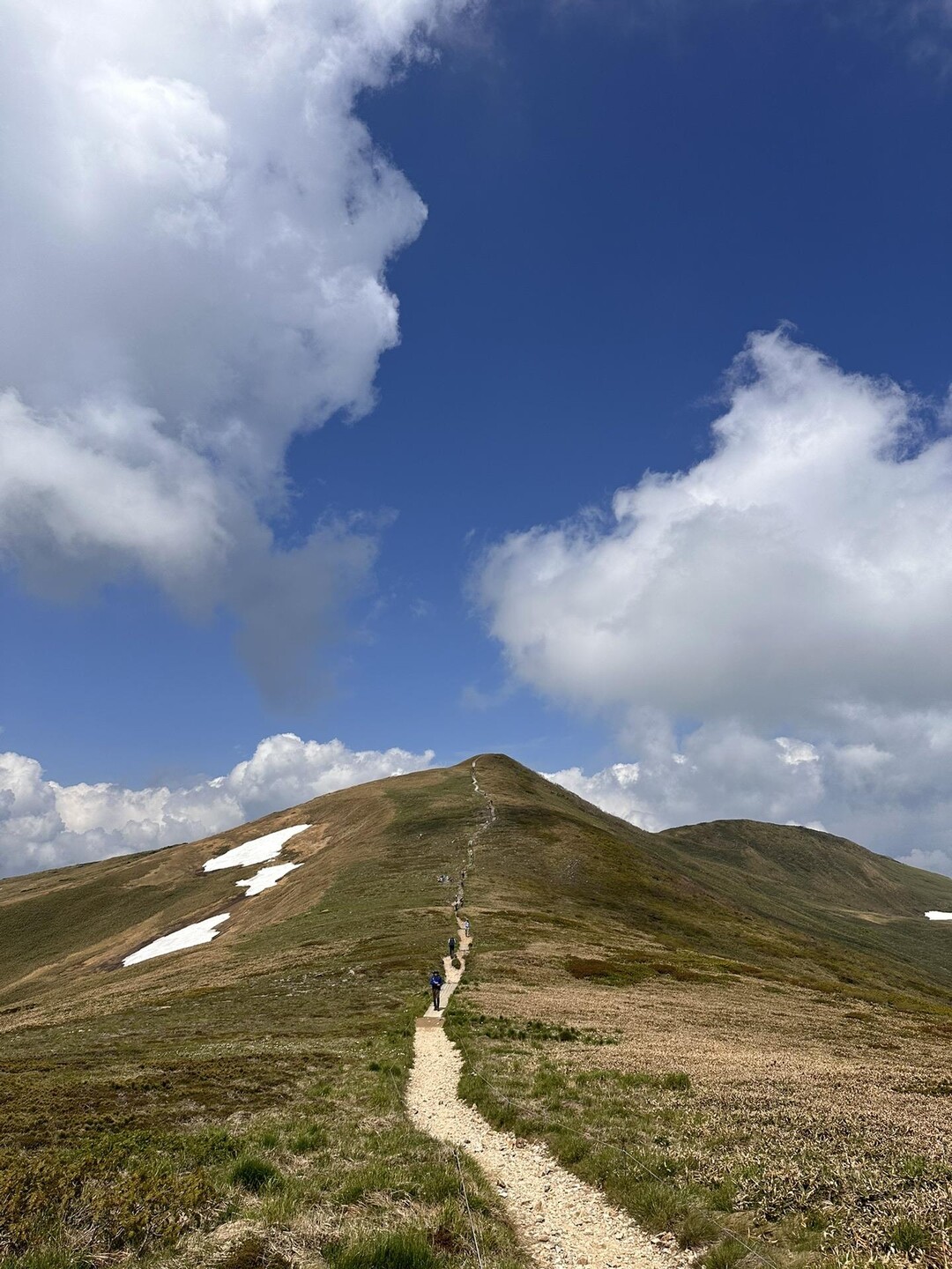 松手山・平標山・前仙ノ倉山・仙ノ倉山 / TOSHI…33さんの仙ノ倉山・平標山・大源太山の活動日記 | YAMAP / ヤマップ