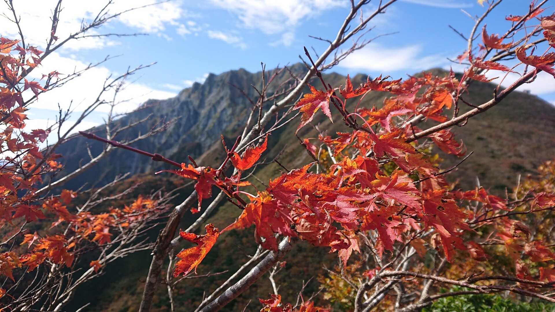 宝珠山・三鈷峰・象ヶ鼻・振子山・野田ヶ山 / ya.junさんの大山・甲ヶ山・野田ヶ山の活動データ | YAMAP / ヤマップ