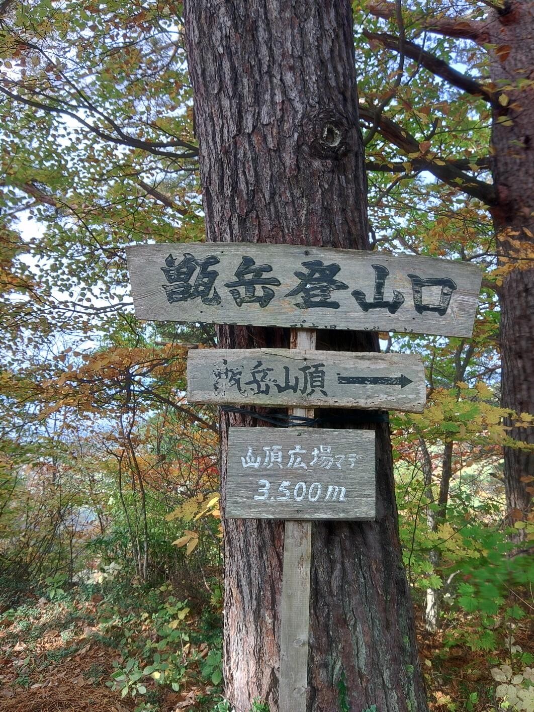 甑岳 / kazu66さんの甑岳・楯山の活動データ | YAMAP / ヤマップ