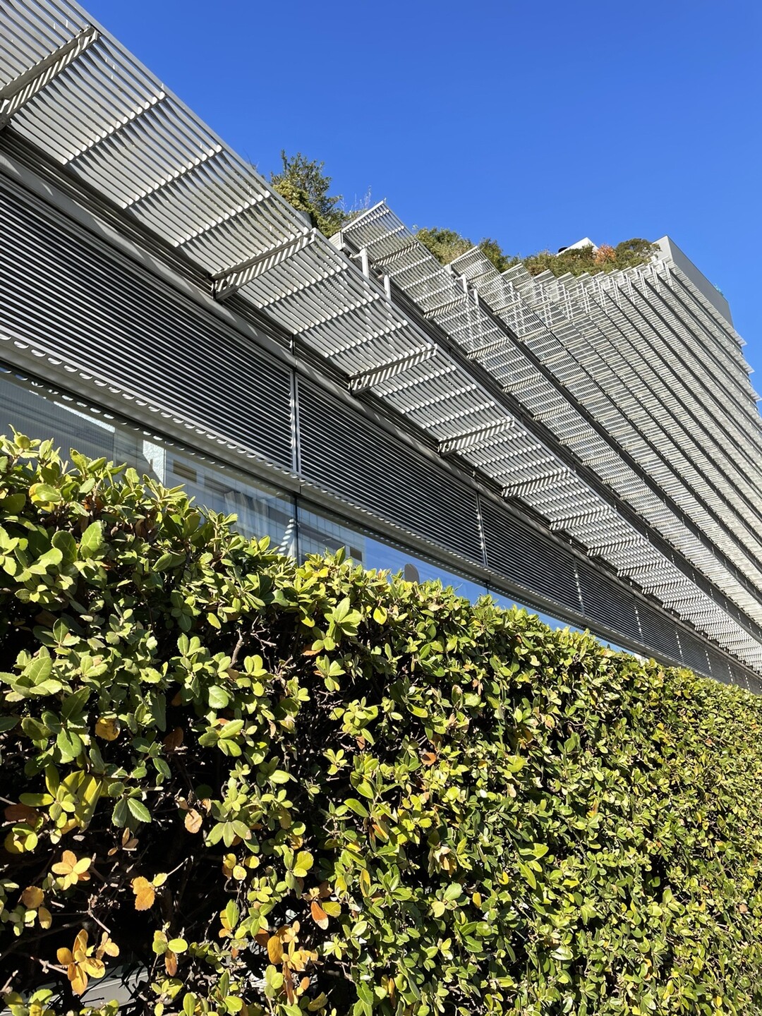 アクロス山 / 🚶sino👣attempt🚴さんのアクロス山の活動データ | YAMAP / ヤマップ