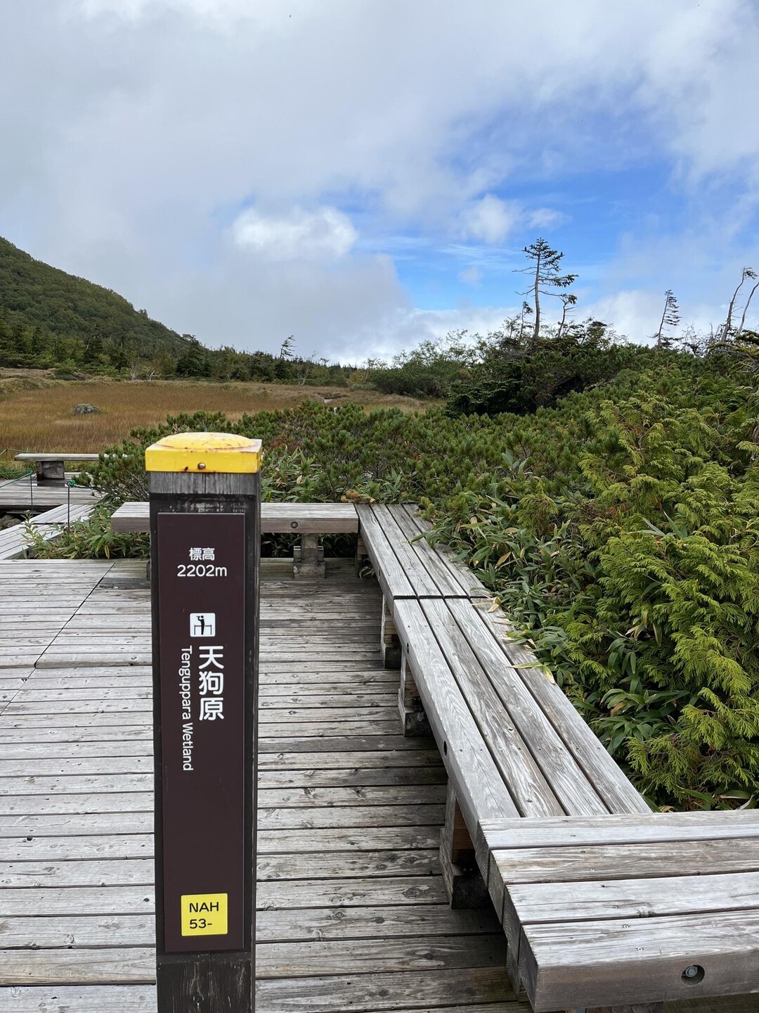 栂池高原周辺 おさんぽ / yasuさんの白馬岳・小蓮華山の活動データ | YAMAP / ヤマップ