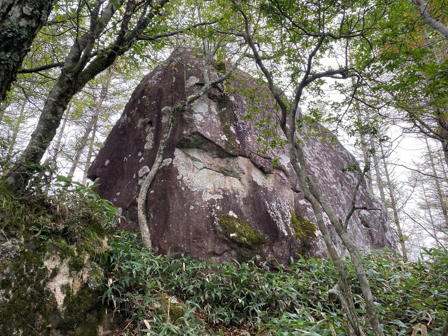 Pat AKA Cavemanさんの投稿したフィールドメモ | YAMAP / ヤマップ