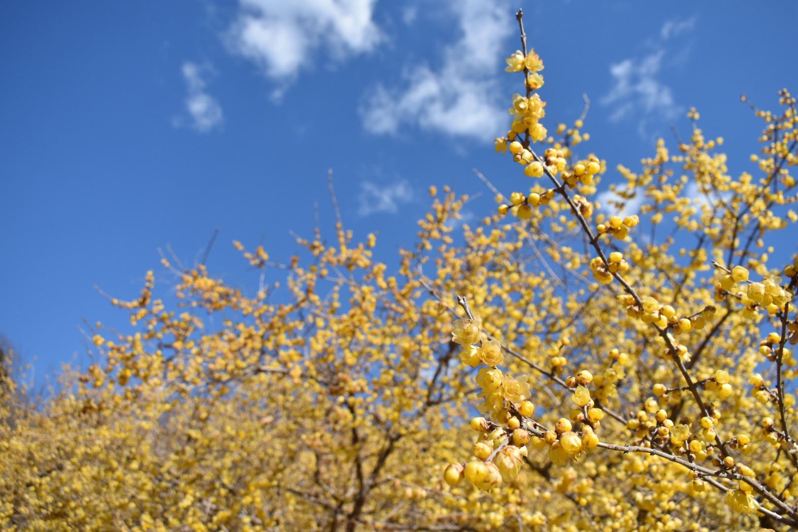 #私の絶景ベストショット〜春を感じる1枚... / AYAさんのモーメント | YAMAP / ヤマップ