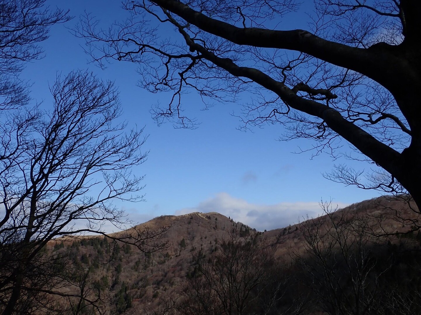 静かな武奈ヶ岳-2024-12-06 / MC先輩さんの比良山地・武奈ヶ岳・釈迦岳の活動データ | YAMAP / ヤマップ