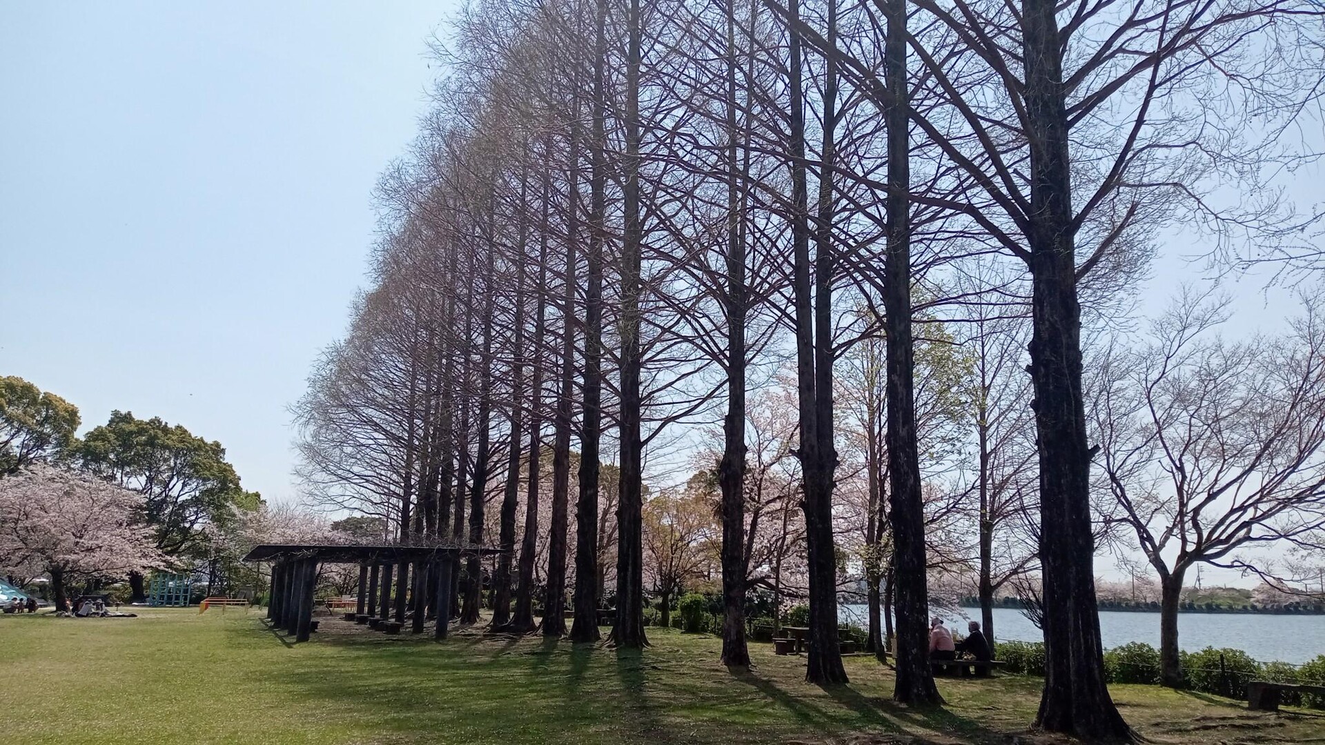 【城山(花立山)】小郡IC近くの穴場な城山公園 / やまちゃんさんの砥上岳の活動データ | YAMAP / ヤマップ