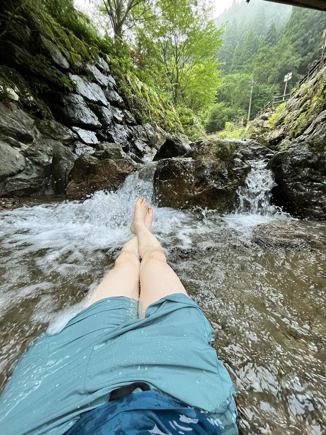 3,333段朝活とドボンの滝 / リーチさんの大行寺山の活動データ | YAMAP / ヤマップ