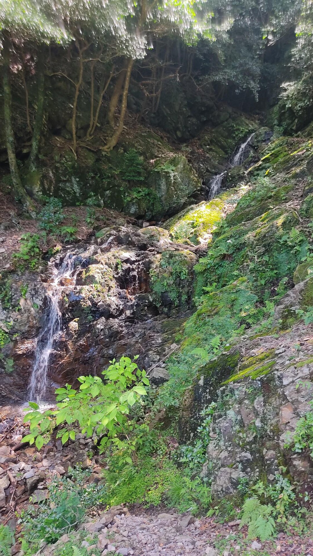 本宮山（3/4ビンタ） / s.uedaさんの本宮山・大日山・風頭山の活動データ | YAMAP / ヤマップ