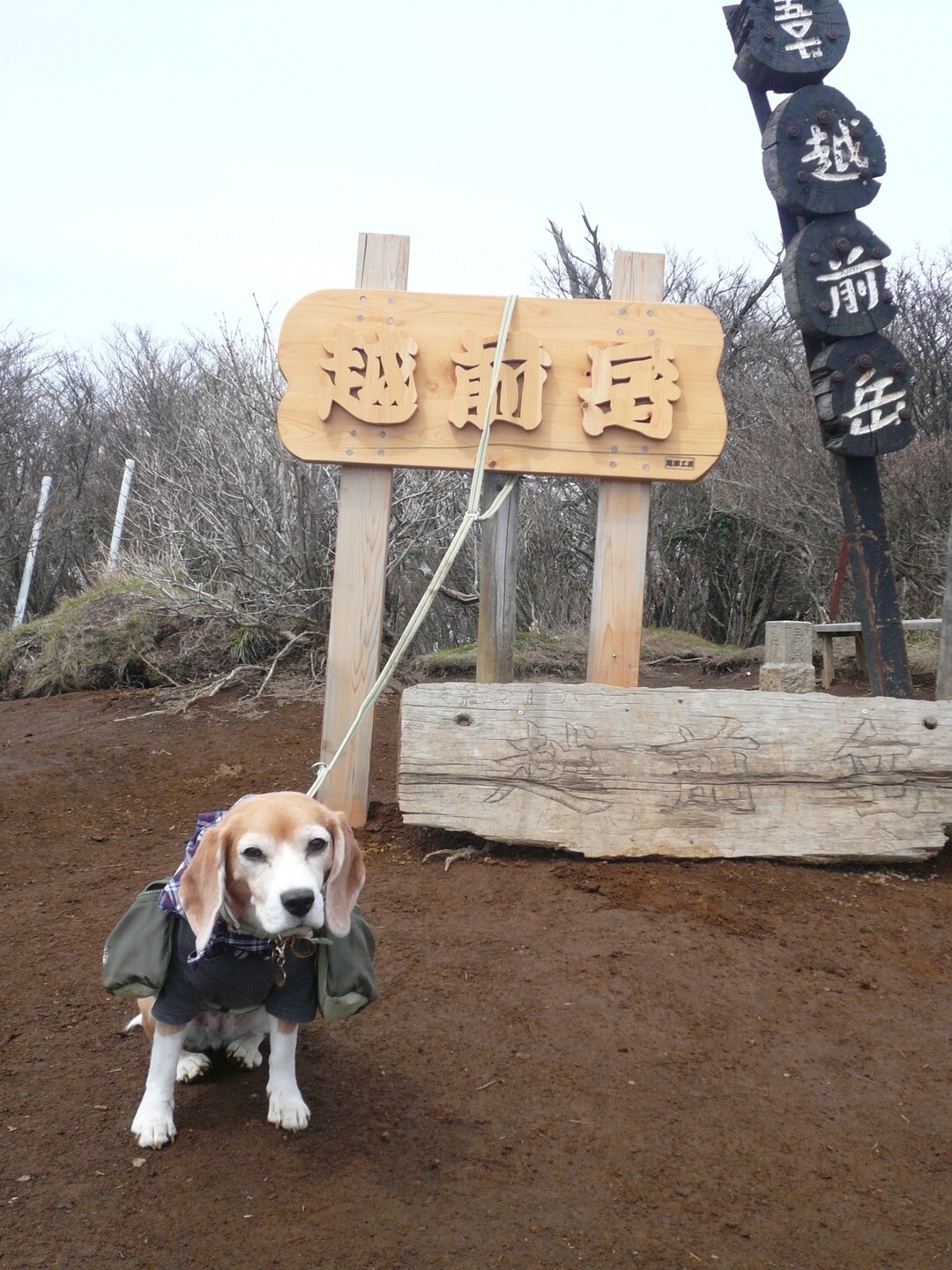 いろいろPCデータをみていたら、いつもい... / MARCOさんのモーメント | YAMAP / ヤマップ