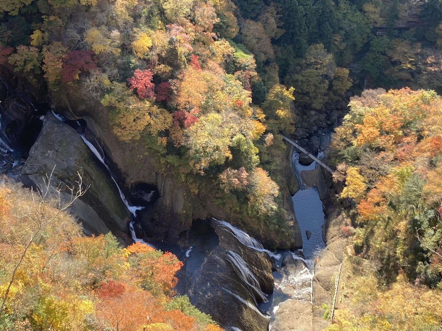 奥久慈【月居山〜生瀬富士】 / aji_sanさんの生瀬富士・大子アルプスの活動データ | YAMAP / ヤマップ
