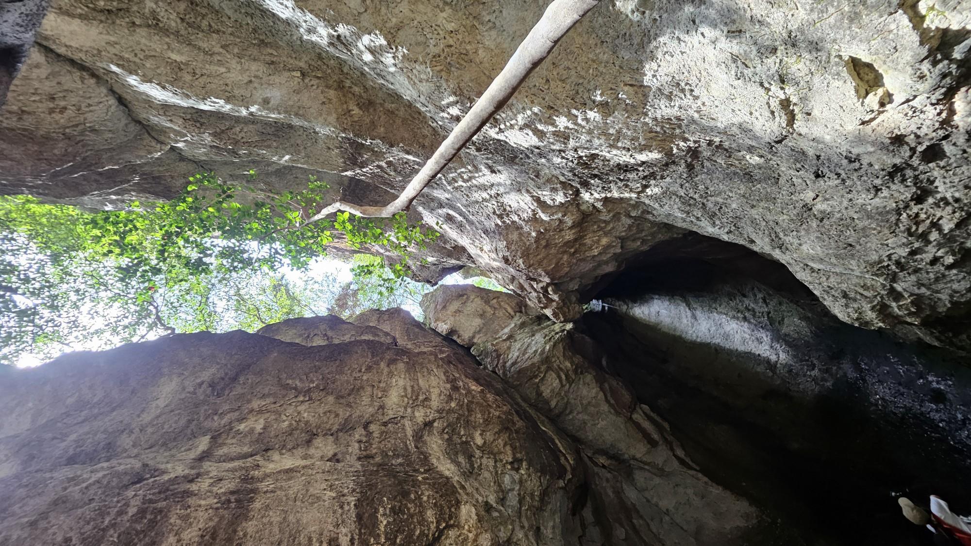 百畳岩・上臈岩 / konoさんの宇連山・鳳来寺山・岩古谷山の活動データ | YAMAP / ヤマップ