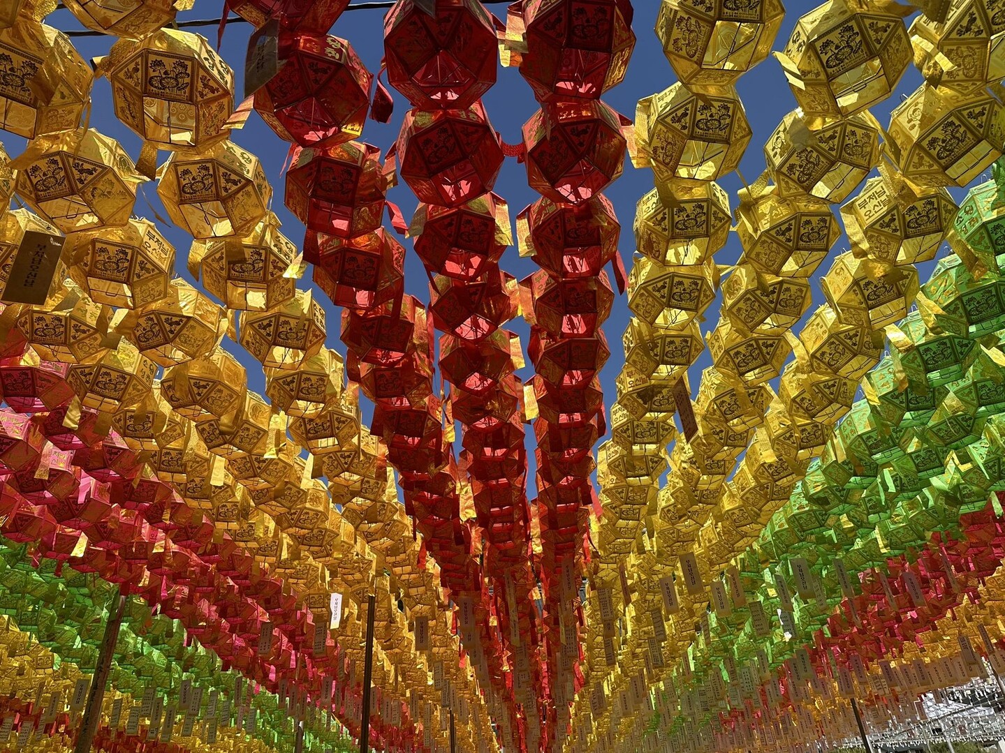 姑堂峰（金井山） / taeさんの姑堂峰・金井山の活動データ | YAMAP / ヤマップ