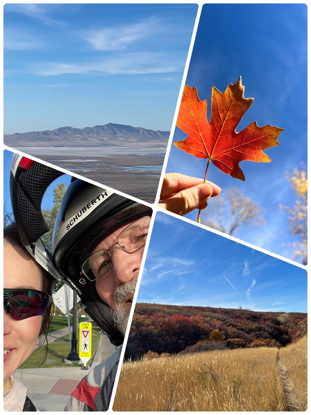 ご褒美ハイキング😆City Creek Canyonソルトレイクシティ / miki🍎さんのウォーキングの活動データ | YAMAP / ヤマップ