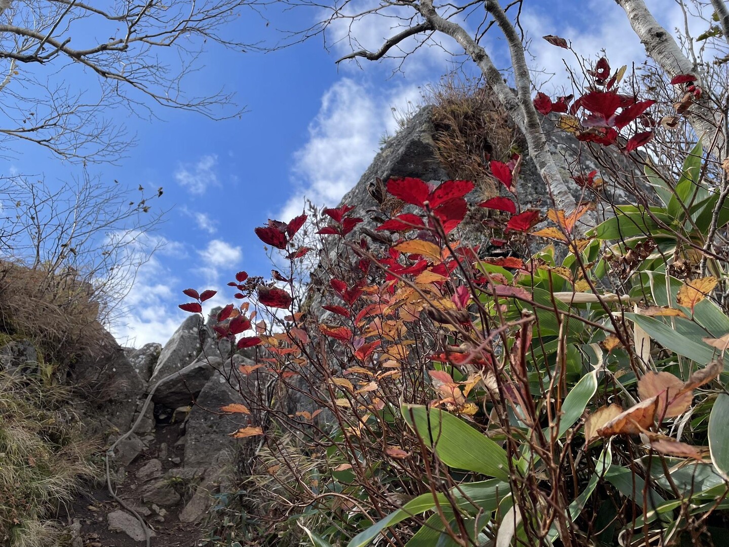 紅葉🍁を探しにvol.1 藻琴山へ2022-10-18 / ＠sasekamoさんの藻琴山の活動データ | YAMAP / ヤマップ