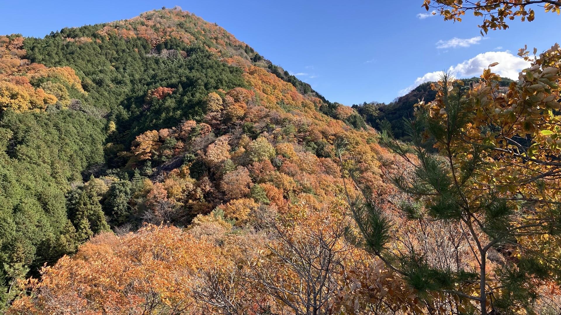 二上山-2024-12-08 / mamiさんの金剛山・二上山・大和葛城山の活動データ | YAMAP / ヤマップ