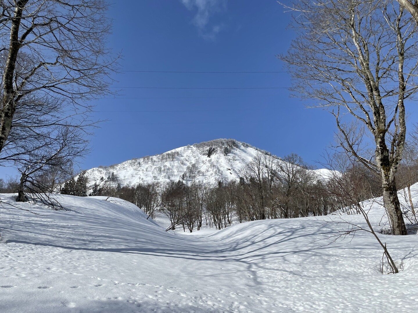 戸倉山・鎌倉山 / MSRさんの駒ヶ岳の活動データ | YAMAP / ヤマップ