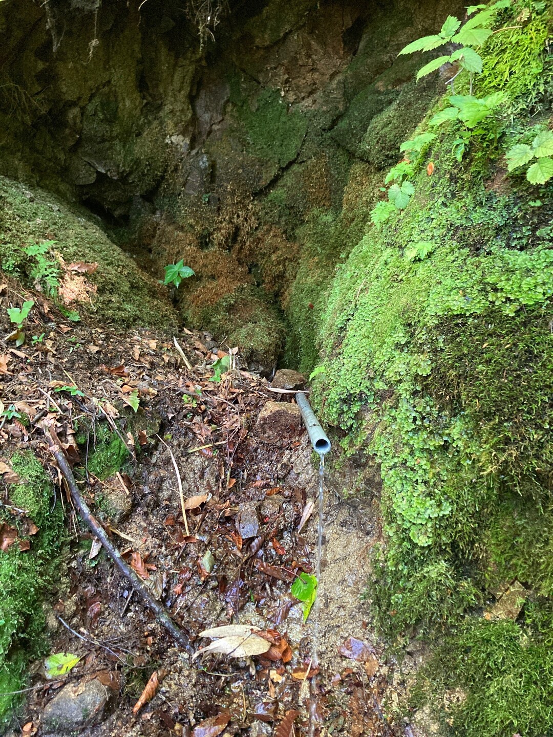 shouさんの投稿したフィールドメモ | YAMAP / ヤマップ