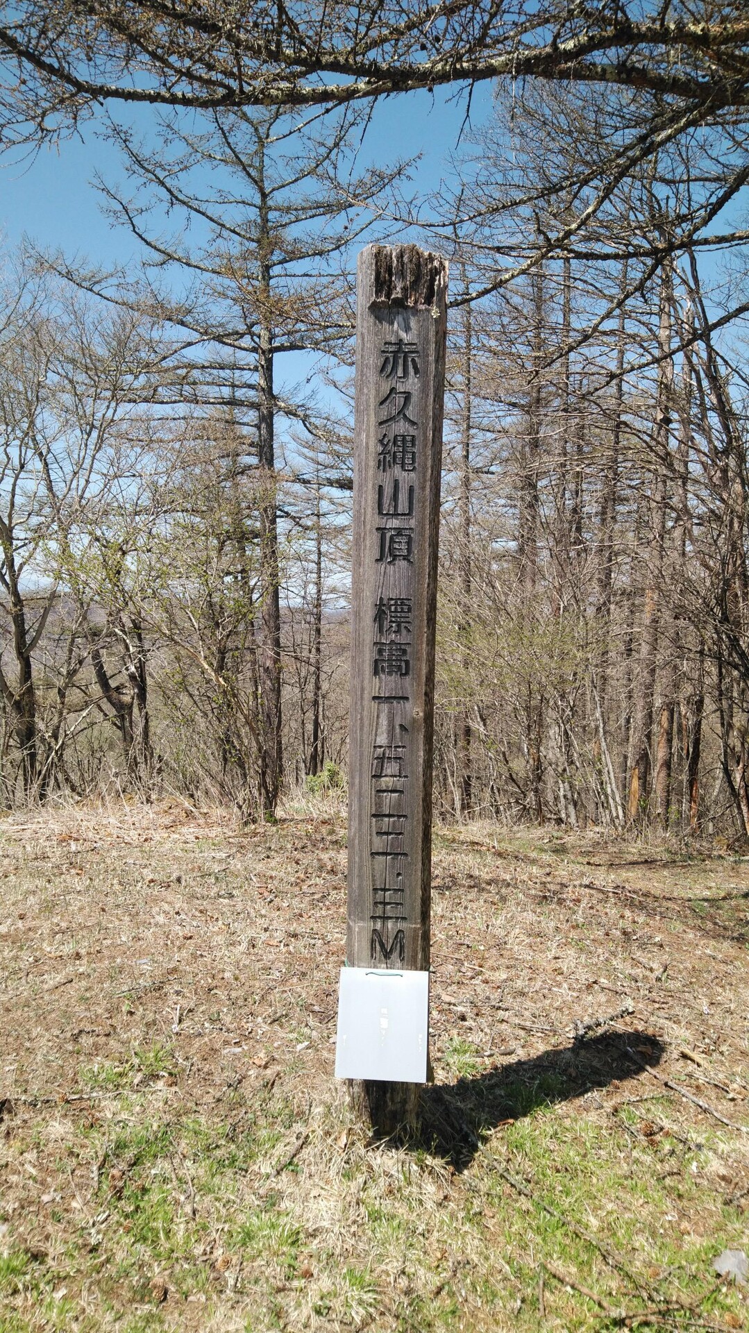 【群馬県 2】赤久縄山 / mappy⛰️🏃💨さんの赤久縄山・白髪岩・稲含山の活動データ | YAMAP / ヤマップ