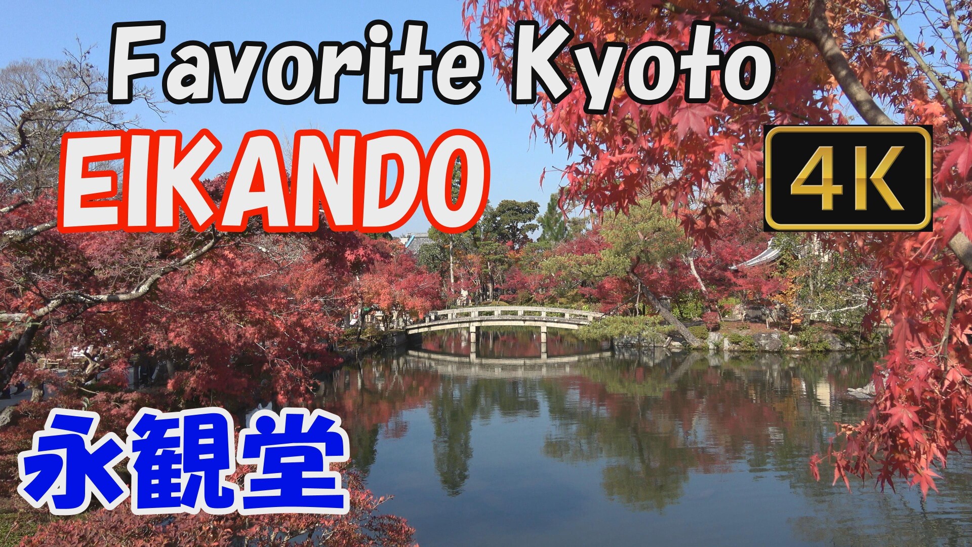 京都の紅葉🍁は、これからが本番ですよ。... / CAT MINISTERさんのモーメント | YAMAP / ヤマップ