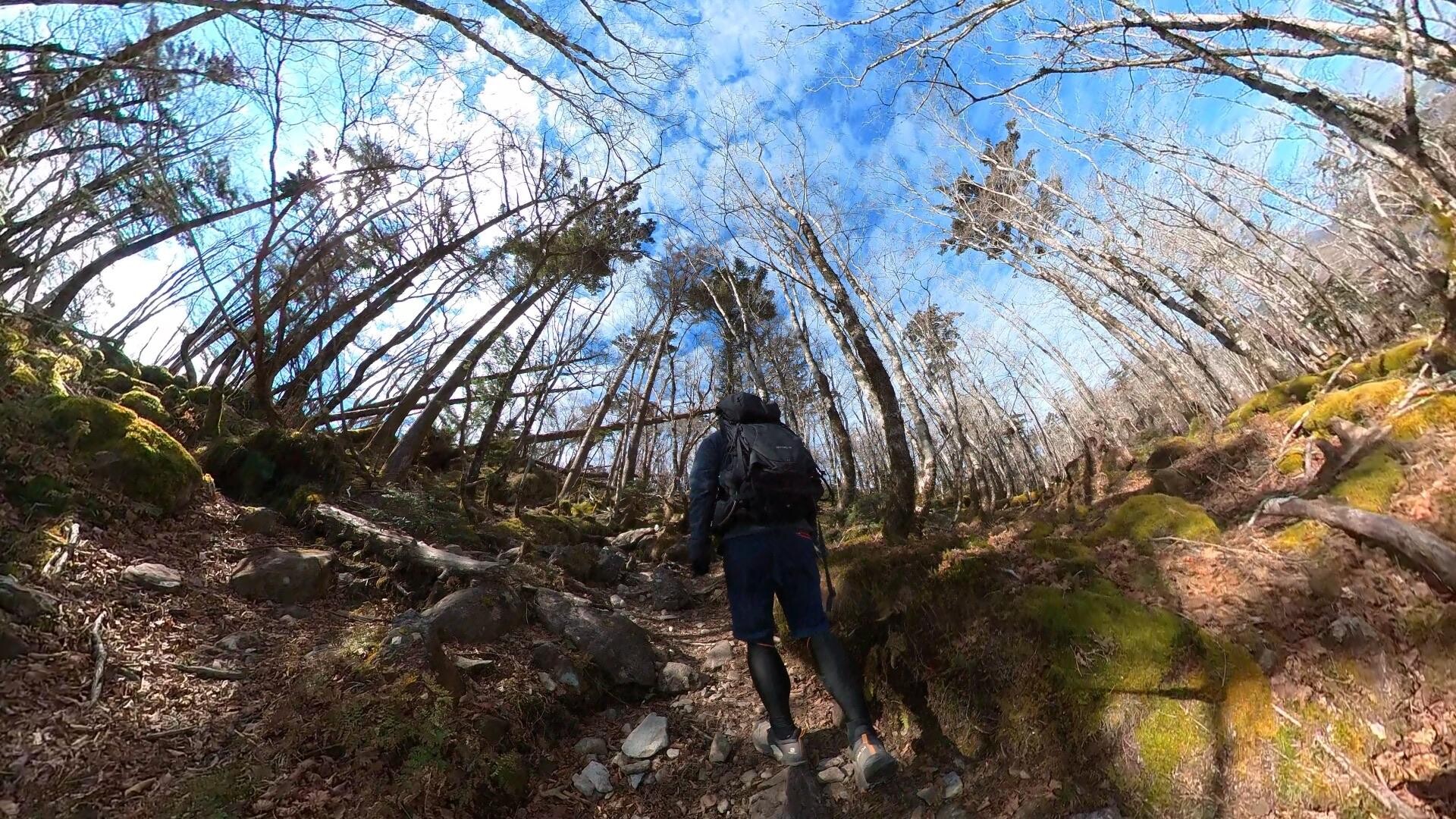 初冬の八経ヶ岳（Gr) / がんばるんばいむらかみさんの八経ヶ岳の活動データ | YAMAP / ヤマップ